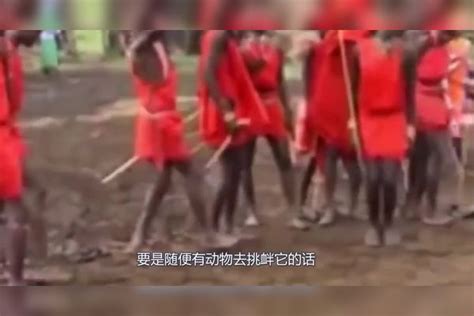镜头记录下的非洲，以猎杀狮子为荣的 马赛人”，有多彪悍？马赛狮子镜头