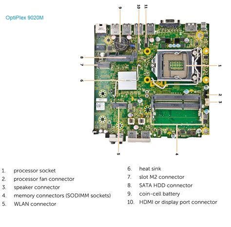 Dell Optiplex Motherboard Layout Hot Sex Picture