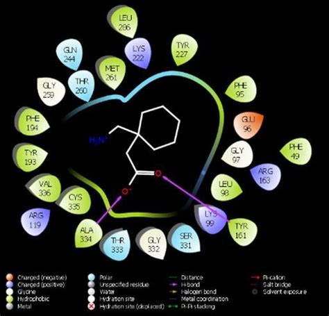 2d Ligand Interaction Of Gabapentin Using Lig Plot Download Scientific Diagram