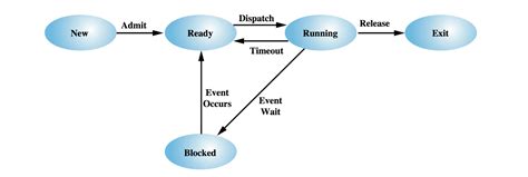 Diagram Showing Five State Process Model Savvy Explanation