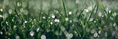 Python Hub Weekly Digest For 2022 10 02