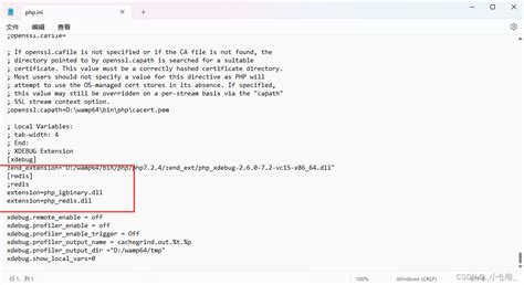 wamp环境安装redis扩展 wamp redis csdn博客