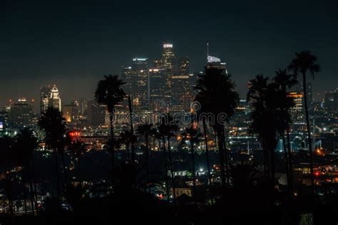 Palm Trees And Cityscape Night Skyline View Of Downtown Los Angeles