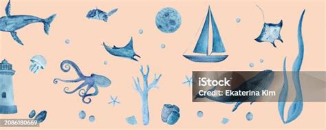 고래 쥐가오리 조개 불가사리 해파리 문어가 그려진 복숭아에 손으로 그린 수채화 파란색 단색 테두리 가오리상목에 대한 스톡 벡터 아트 및 기타 이미지 Istock