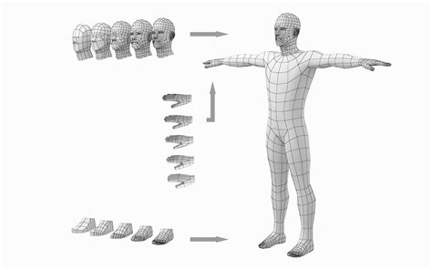 Natural Male In T Pose In 5 Topologies 3d Model By Valerii Kaliuzhnyi