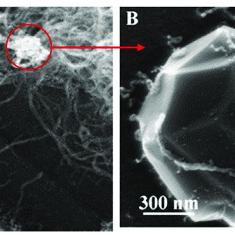 Schematic Diagram Of Ocnfs Formation During Methane Cracking Process
