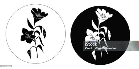 야생화의 실루엣카드 세트 식물 그림 흑백 배경과 윤곽선이 있는 변형 엽서 스티커 및 기타 인쇄의 디자인 선아트 스타일의 벡터 일러스트레이션 0명에 대한 스톡 벡터 아트 및