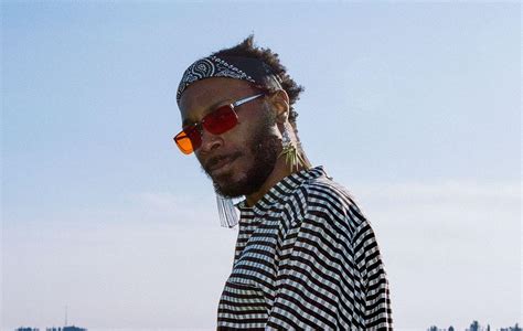 Jpegmafia Wallpapers Top Free Jpegmafia Backgrounds Wallpaperaccess