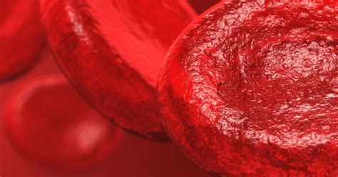 Anticoagulation Cardiology Quizzes