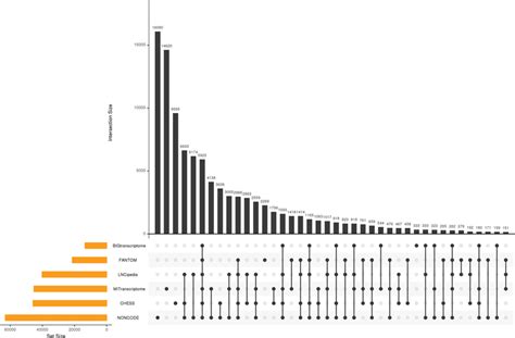 Upset Plot Showing The Overlap Of All Six Lncrnas Annotations At The Download Scientific