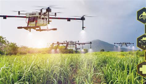 The Future Of Automation In Agriculture Smart Farming And Robotics