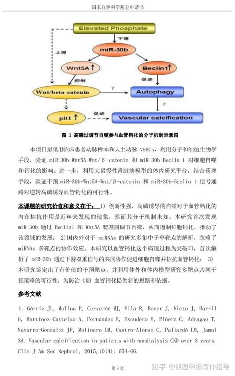 医学国自然科学基金常规面上项目本子 知乎