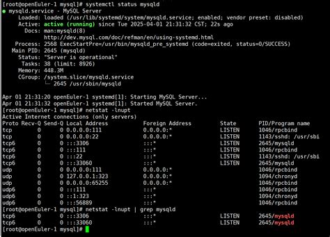 Mysql的安装mysql80二进制安装 Csdn博客 Mysql的安装mysql80二进制安装 Csdn博客