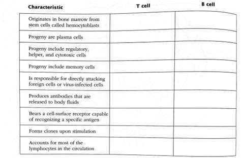 t cells and b cells exhibit certain similarities and differe quizlet