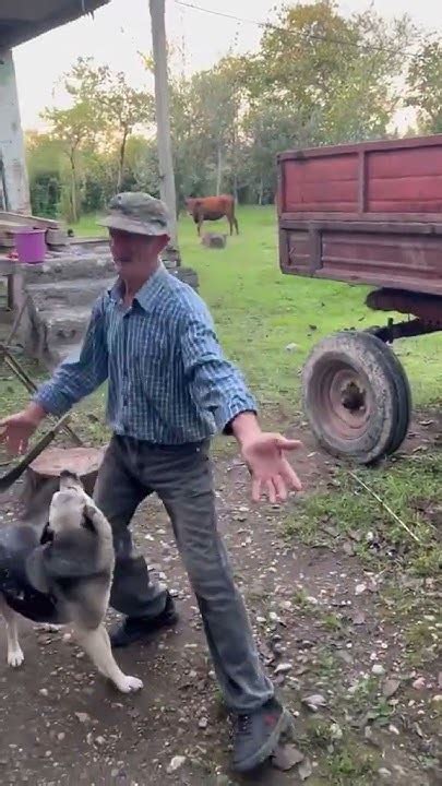 ვახ შენ გენაცვალე ბაბუ რას ცეკვავს ♥ ️ Youtube