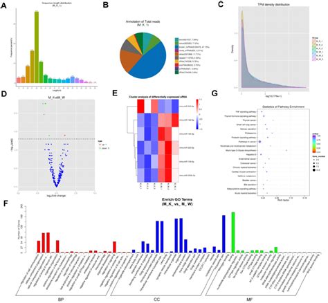 Analysis Of Mirna Sequencing Data A Size Distribution Of Srnas From Download Scientific