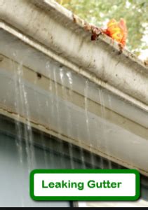 Gutter Maintenance The Guide To Everything You Need To Know