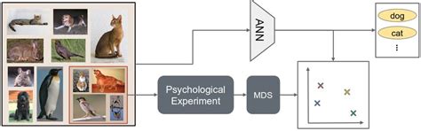 Generalizing Psychological Similarity Spaces To Unseen Stimuli