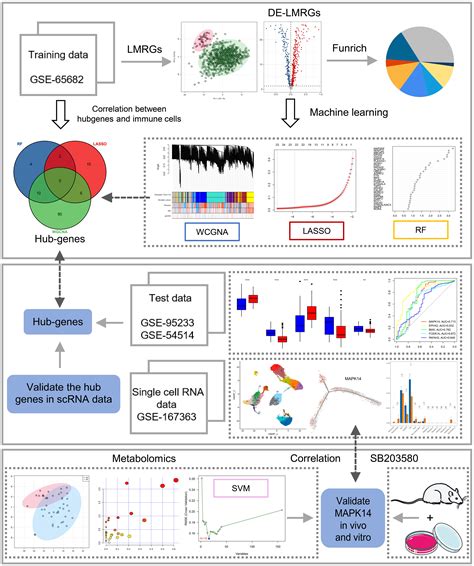 frontiers integrative single cell rna sequencing and metabolomics