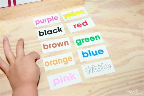 Color Sorting Activities For Prebabeers
