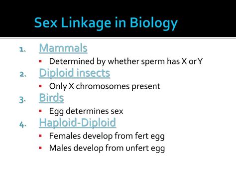 PPT Chapter The Chromosomal Basis Of Inheritance PowerPoint Presentation ID