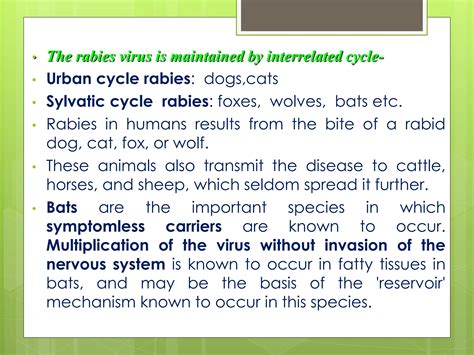 Rabies Pathology Rabies Causes Treatment Pdf Brain And Nervous System Disorders Diseases