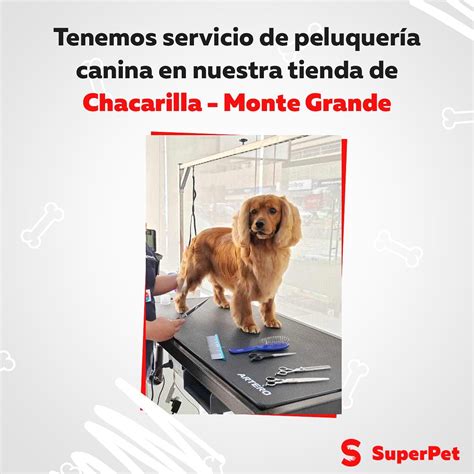 Superpet.pe - Home