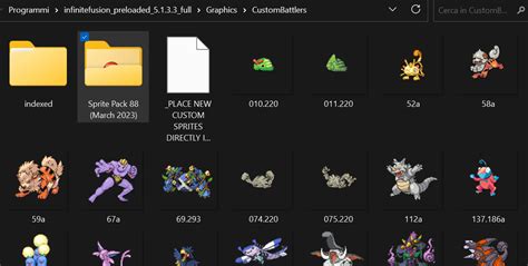 Is This The Correct Way To Apply Sprites Rpokemoninfinitefusion