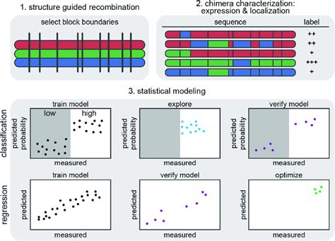 Protein Structure Machine Learning At Oscar Trundle Blog