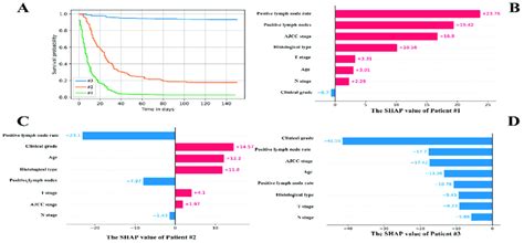 The Individual Postoperative Prognostic Prediction A The Estimated