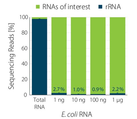 Rna Experts Discover How To Be Cost Efficient With The Best Results Isogen Lifescience