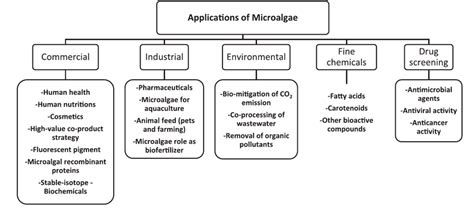 Flow Chart Depicting Microalgae Applications In Several Fields Download Scientific Diagram