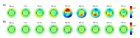 Event Related Potential Erp Panel A Average Erp Associated With