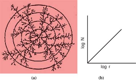 Figure 3 From Fractal Growth Patterns In Science And Technology Semantic Scholar