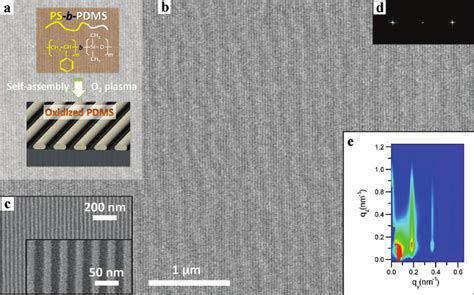 A A Sketch Of The Structure Of Ps Pdms Block Copolymer And Schematic Download Scientific