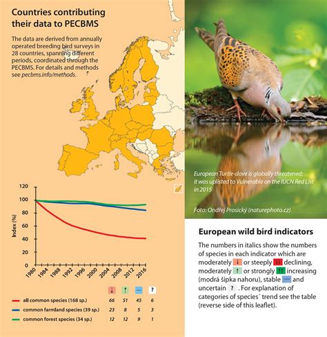 Report On The Pan European Common Bird Monitoring Scheme June 2019 Pecbms Pecbms