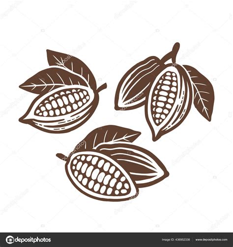 Cocoa Beans Icon Set Vector Drawings Stock Vector By Oleg Kelt