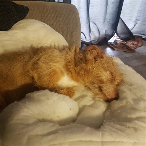 Connor Mccloud Youtube