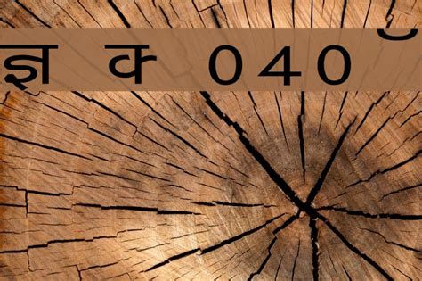 Kruti Dev 040 Wide Font