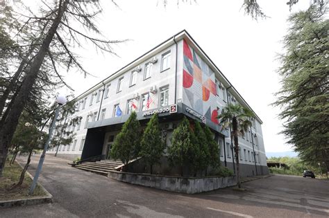 საქართველოს განათლების მეცნიერებისა და ახალგაზრდობის სამინისტრო ფსიქოლოგიური მომსახურების