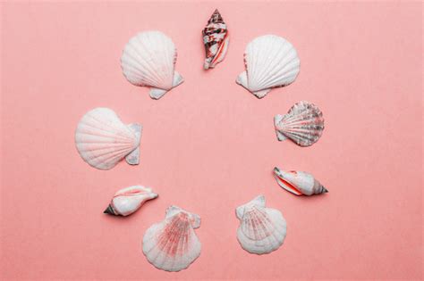 여름 세일 유행 살아있는 산호 파스텔 색상 배경에 고립 된 흰색 조개 모양 프레임에 빨간 불가사리 안녕하세요 여름은 개념을 오고있다 갑각류에 대한 스톡 사진 및 기타 이미지