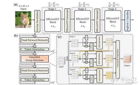 Yolov8改进 主干篇 Efficientvit高效的特征提取网络完爆mobilenet系列 轻量化网络结构 知乎