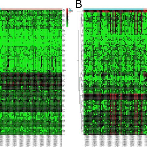 Heatmap Of The Top 100 Differentially Expressed Genes And Lncrnas Download Scientific Diagram