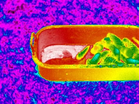 Bounding2 Object Detection Dataset By Pracamagisterska