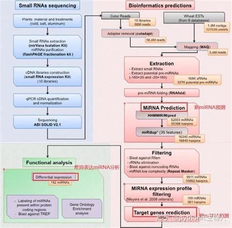 Omics精进07转录组之mrnamirnalncrnacircrna测序简介 知乎 Omics精进07转录组之mrnamirnalncrnacircrna测序简介 知乎