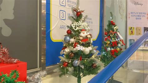 Vlog 마트에서 장보고2천원으로크리스마스 트리만드는 영상🎄1 Youtube