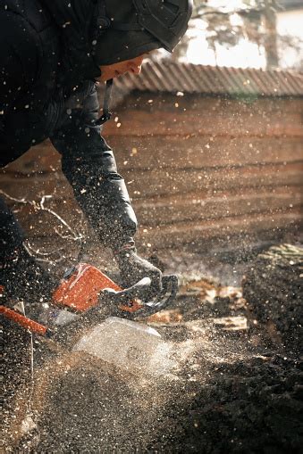 수목 재배자가 나무를 자르는 데 사용하는 전기톱의 나무 부스러기 고용과 노동에 대한 스톡 사진 및 기타 이미지 고용과 노동 도시를 벗어난 장면 동력 사슬톱 체인