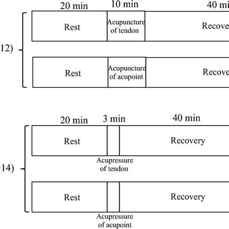 Experimental Protocol See Methods For A Detailed Description Of The