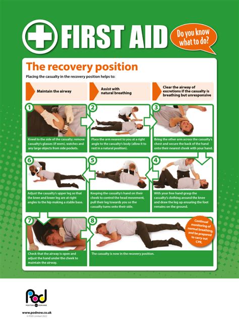 The Recovery Position Pod Posters On Demand
