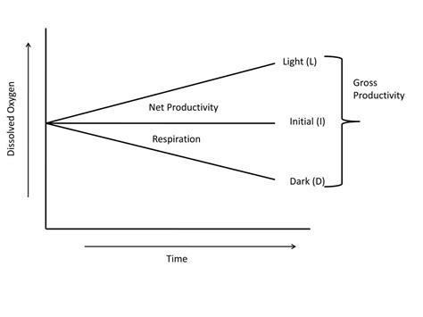 Ppt Dissolved Oxygen And Primary Productivity Lab Powerpoint Presentation Id 3722303